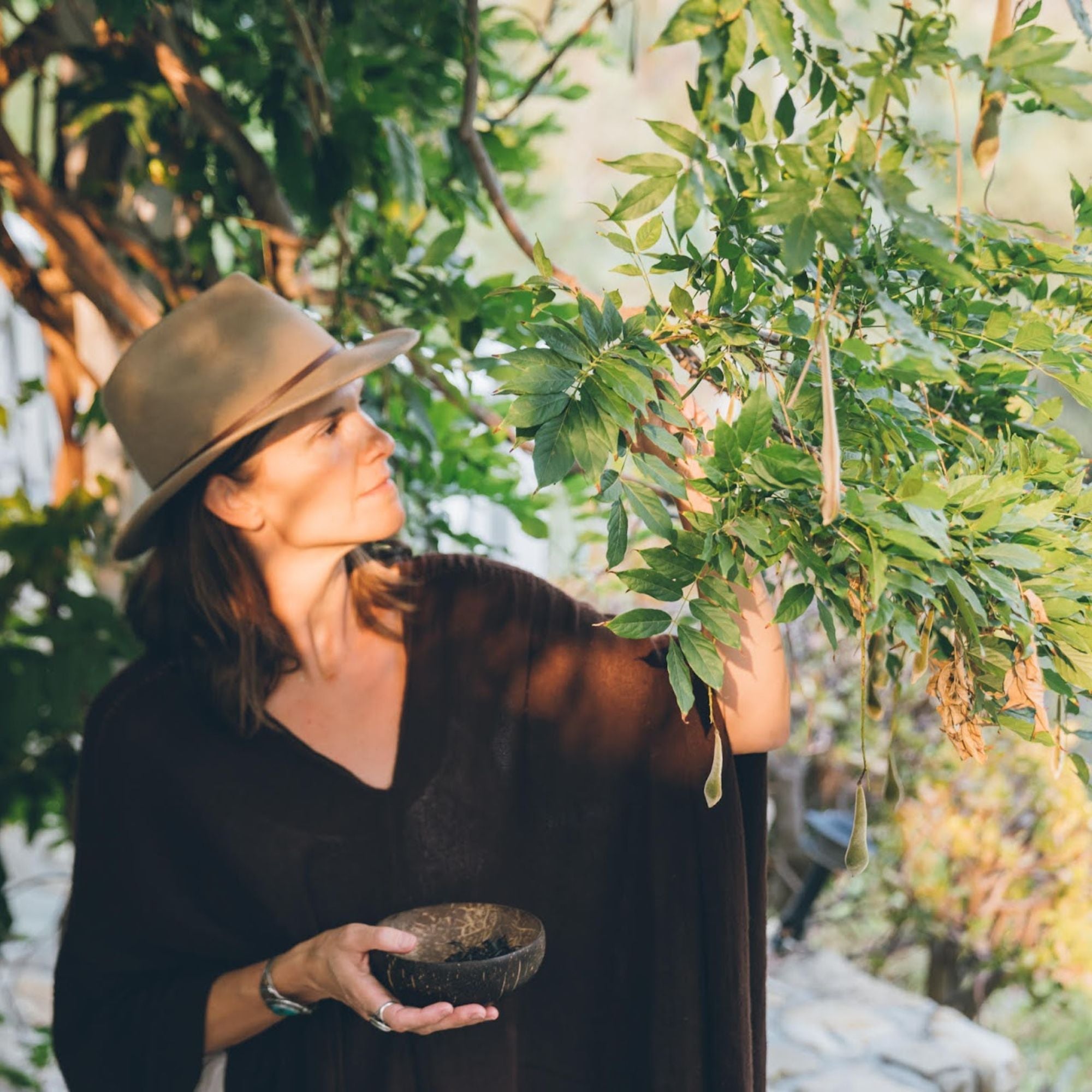 The Power of Plant-Based Teas: Benefits and How to Enjoy Them